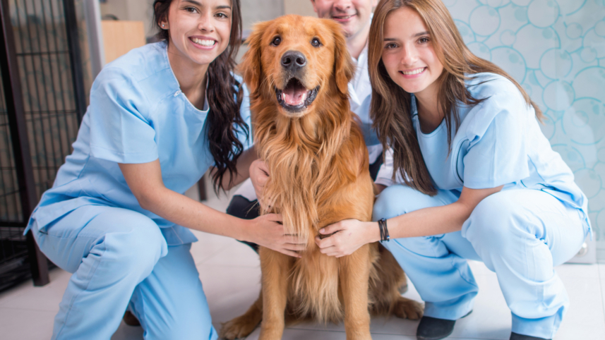 Animal Medicines Australia « Animal Medicines Australia