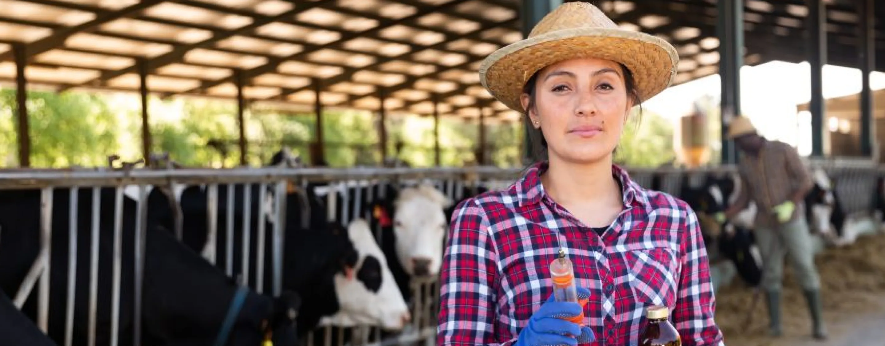 Animal Health Sector Commitments and Actions on Antibiotic Use « Animal ...