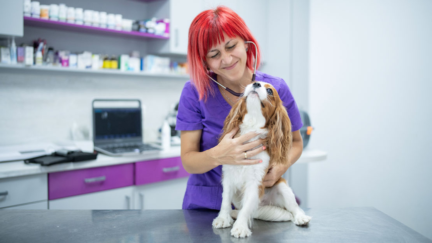 Policy Priorities « Animal Medicines Australia