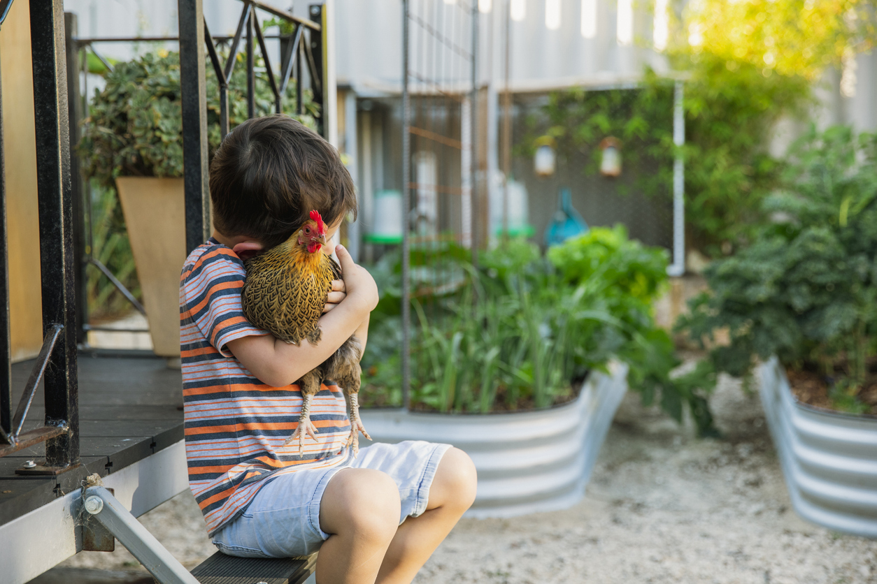 Role and Functions of an Australian Centre for Disease Control « Animal ...