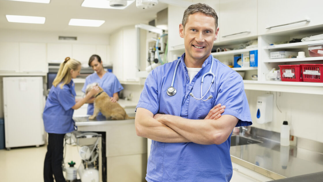 Review of ACT veterinary practice « Animal Medicines Australia