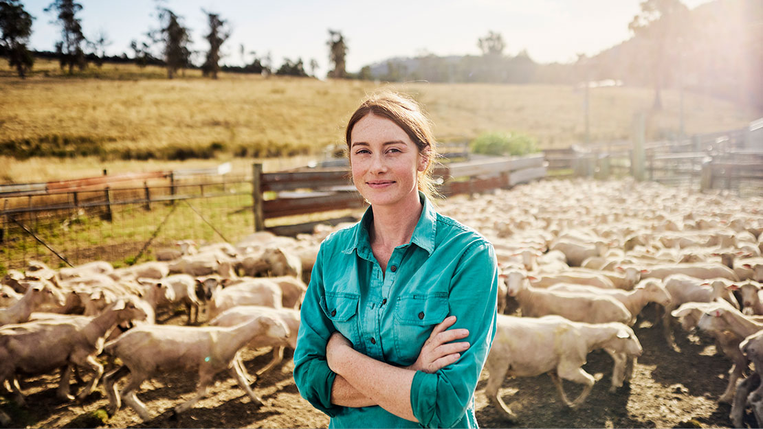 About AMA « Animal Medicines Australia