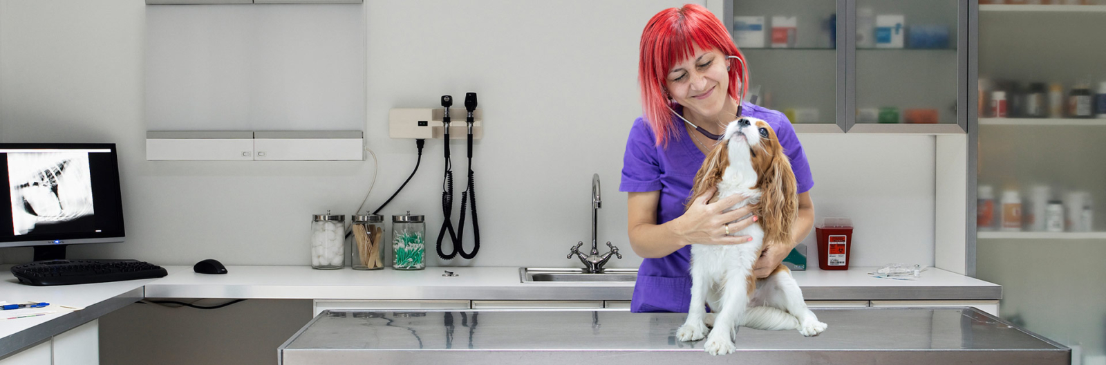 Supporting veterinary medicine means better health for people and ...