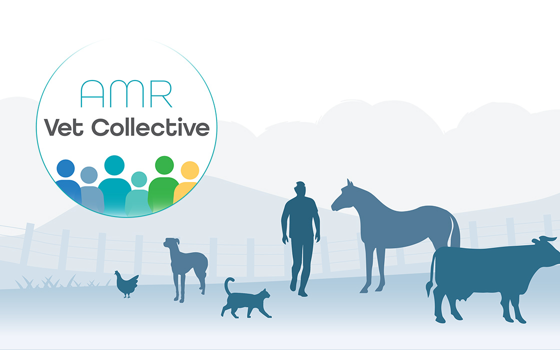 The AMR Vet Collective « Animal Medicines Australia