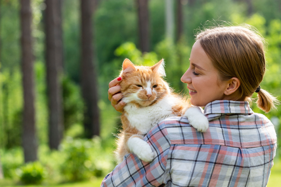 Pets in Australia: A national survey of pets and people 2025 « Animal ...