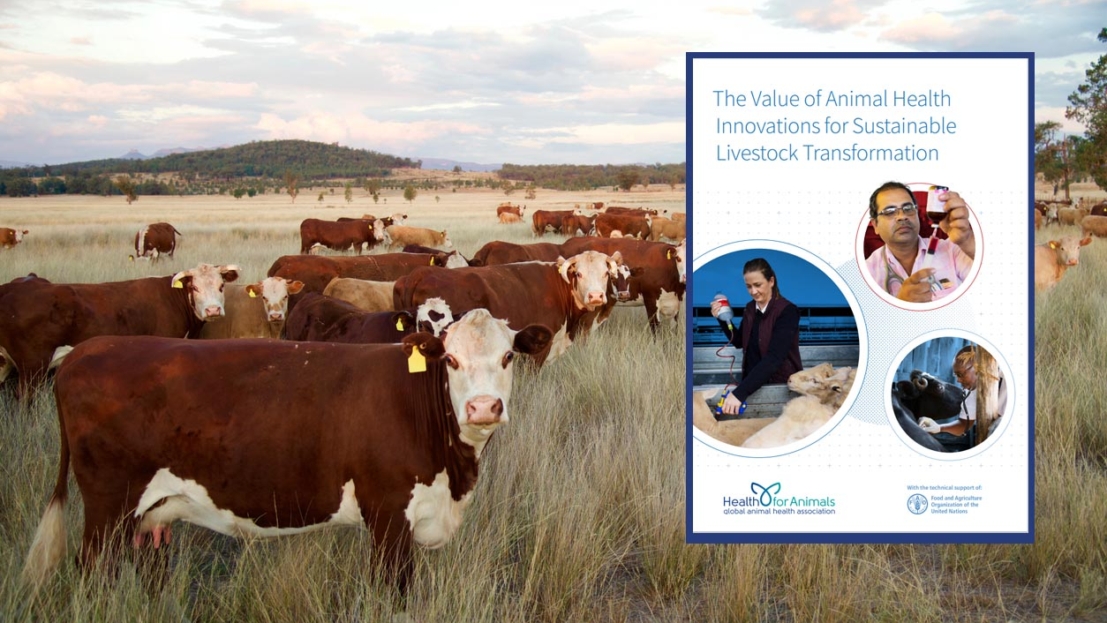 Animal Medicines Australia « Animal Medicines Australia