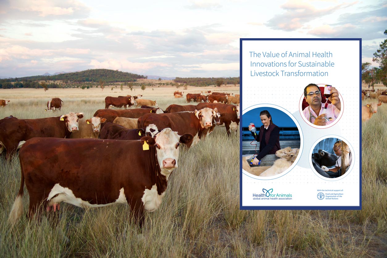 The Value of Animal Health Innovations for Sustainable Livestock ...
